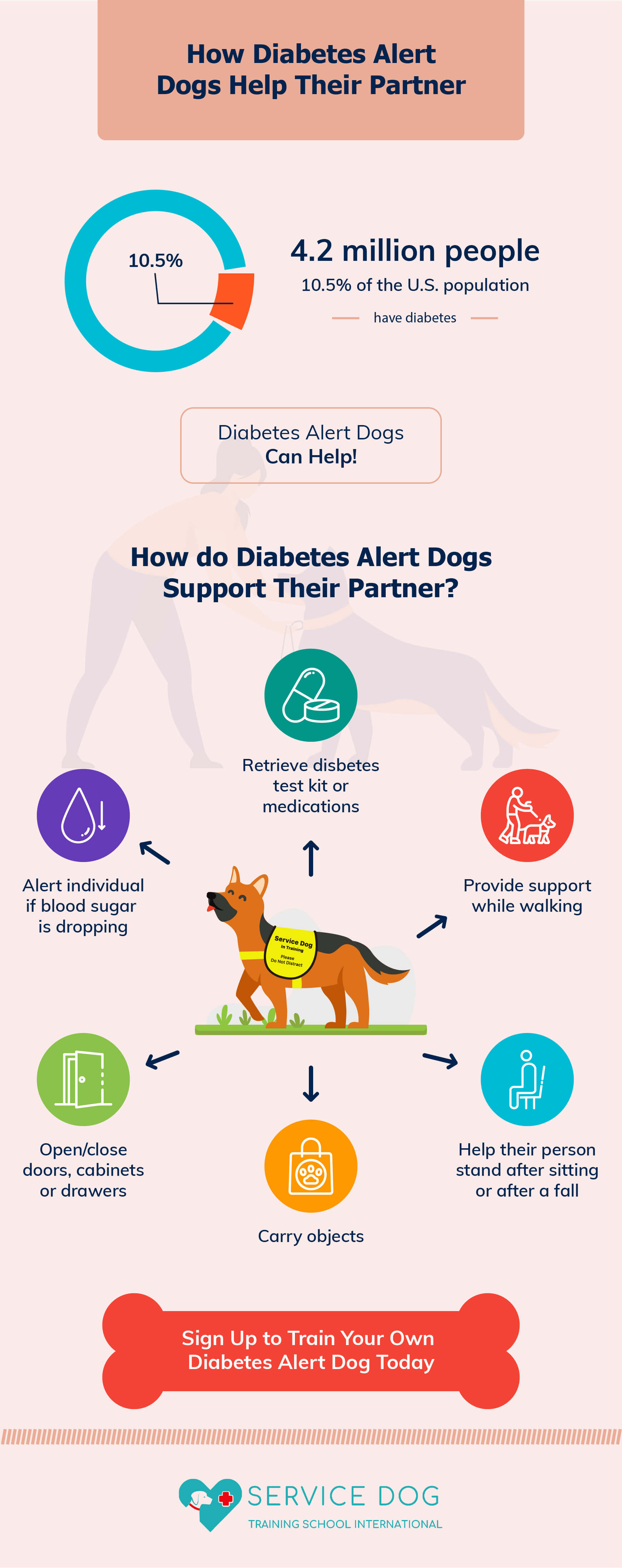 Certified Intensive Diabetic Alert Service Dog Training Course